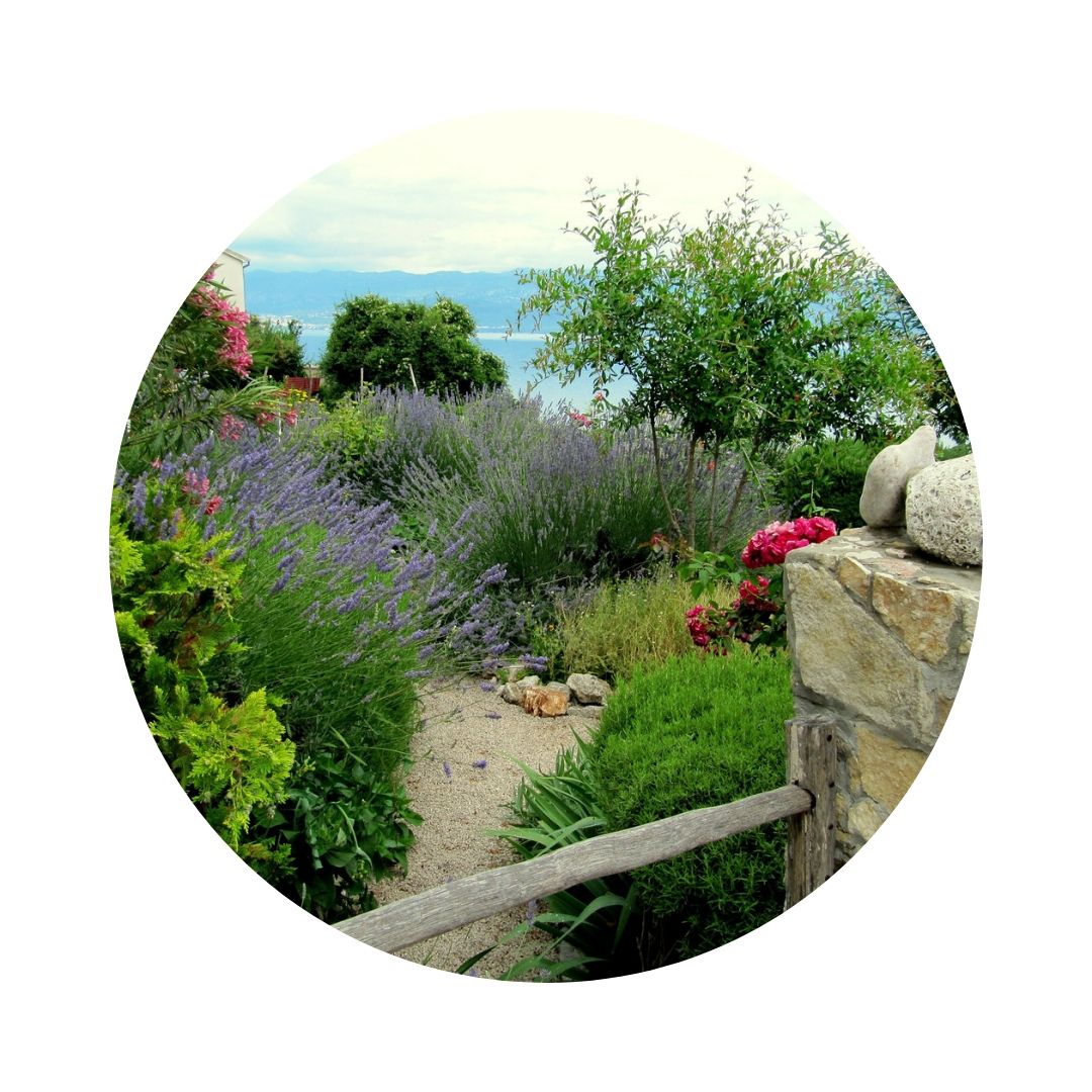 Qu'est ce qu'une plante Vivace ? - Le jardin de Rodolphe